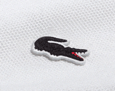 Collection Homme | LACOSTE